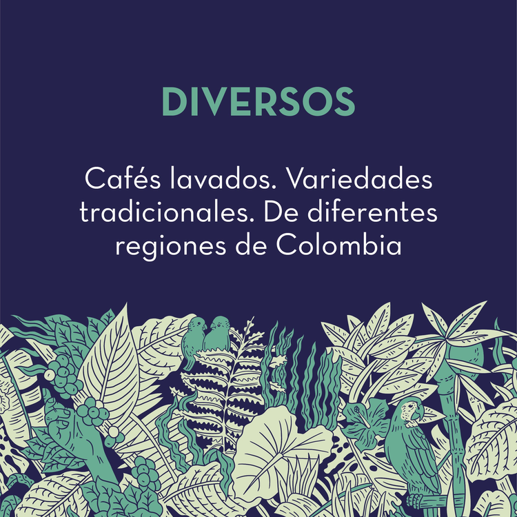 Colecciones – COLO COFFEE