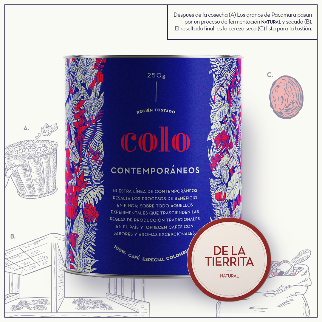 COLOS POR EL CAFÉ – COLO COFFEE