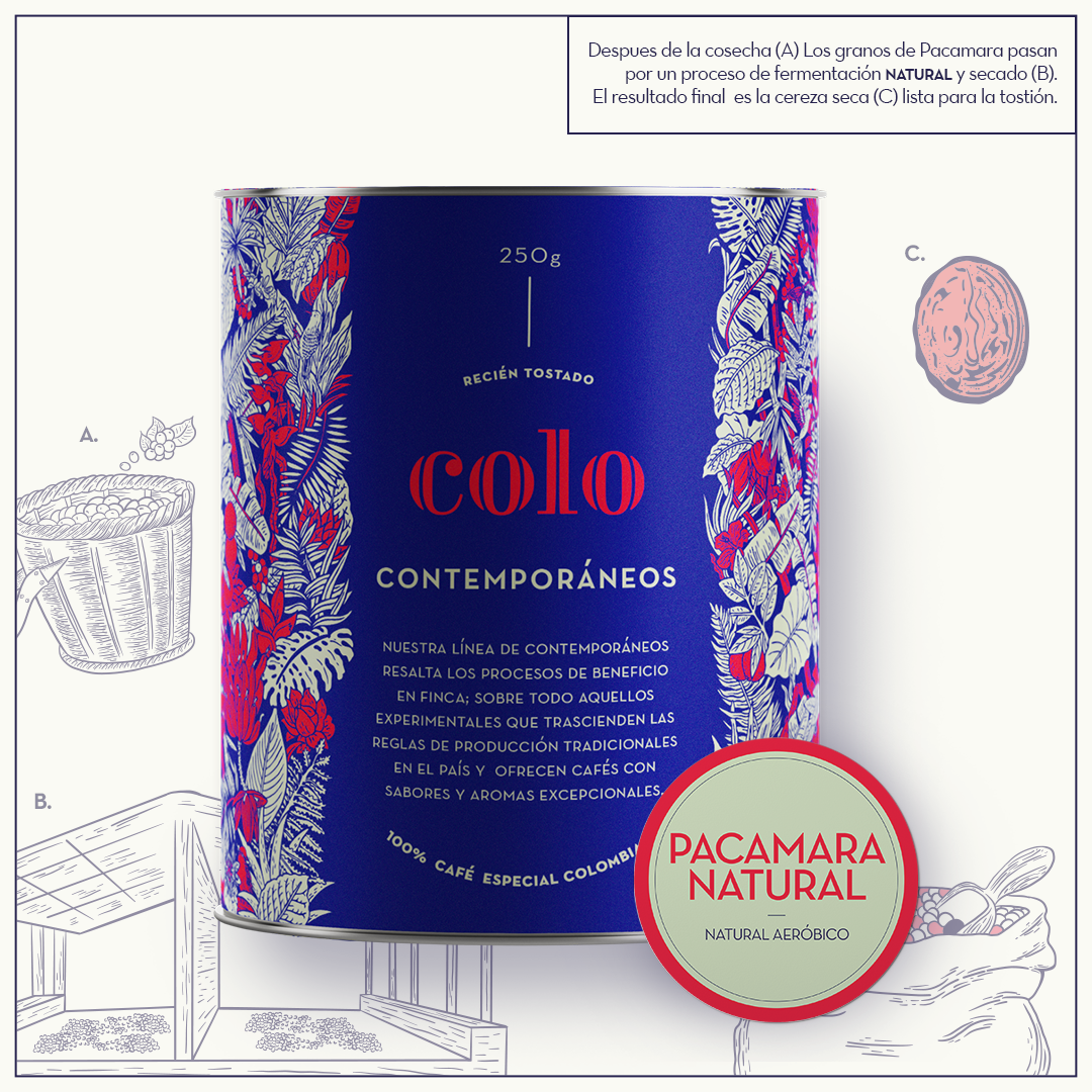 NUESTRAS TIENDAS – COLO COFFEE